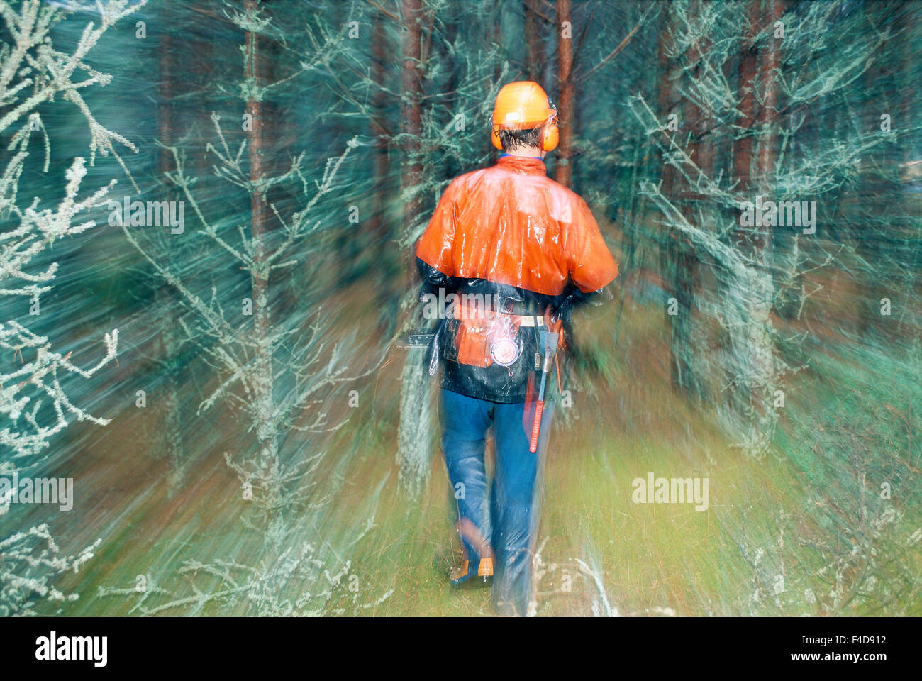 Man walking into forest with chainsaw hi-res stock photography and ...