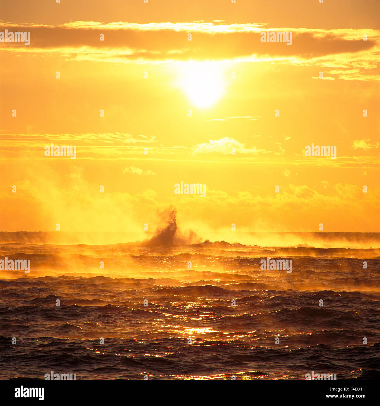Sunset over the ocean Stock Photo - Alamy