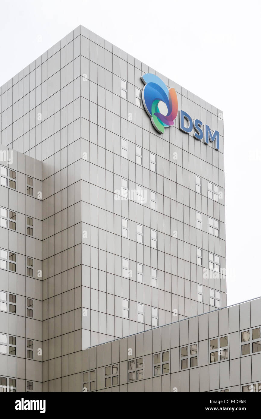 DSM chemical industry, building, company, offices, Sittard, Netherlands ...