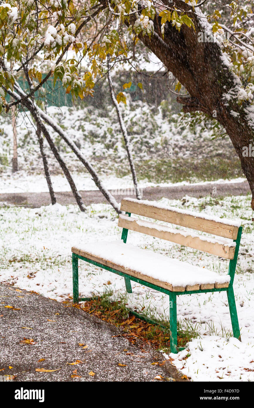 first snowfall and empty bench in city park in autumn day Stock Photo ...
