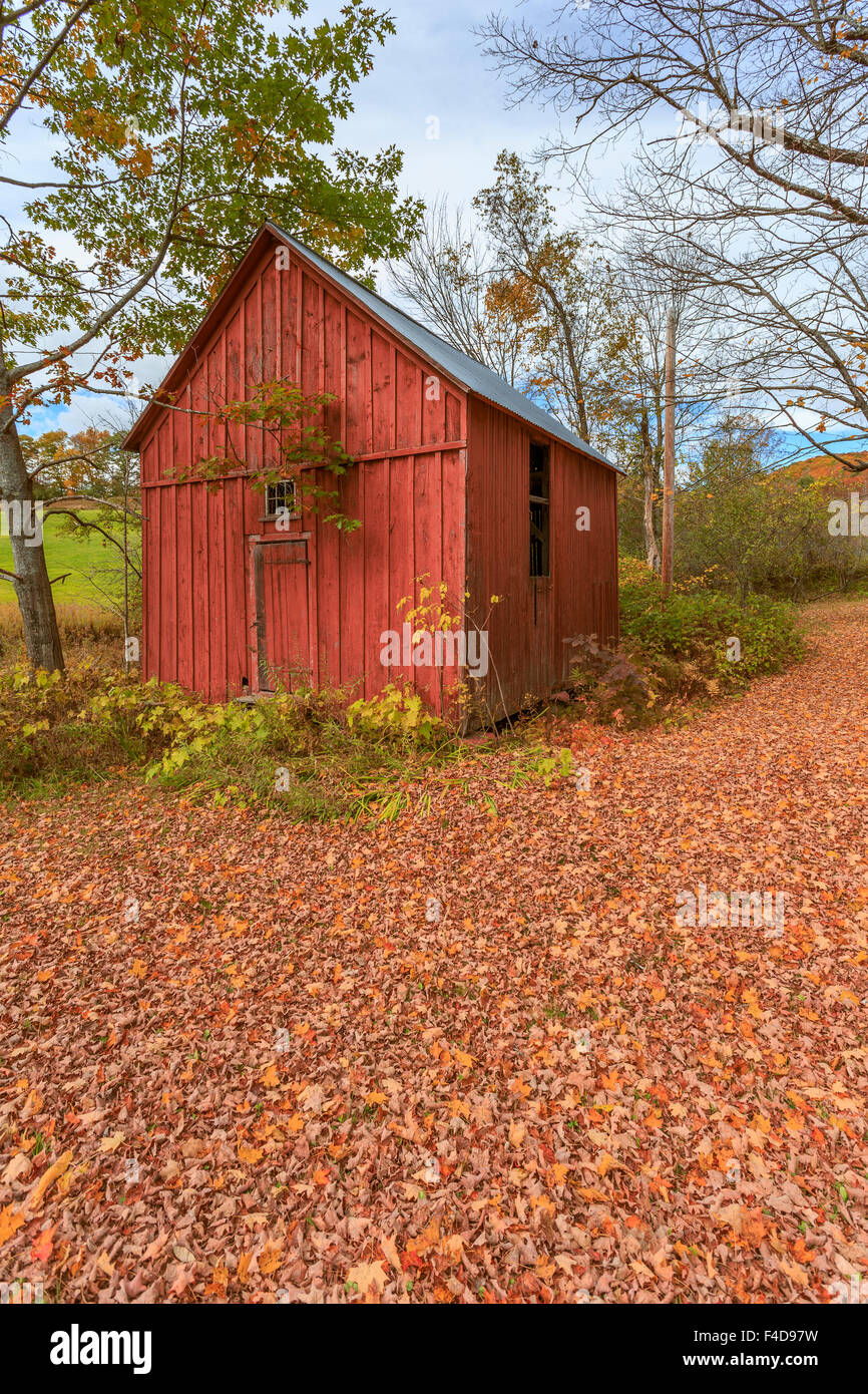 An old red barn in Woodstock, Vermont surrounded by fallen leaves Stock ...