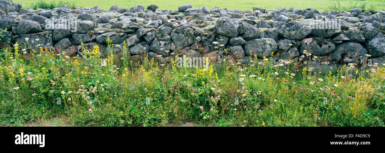 A stone wall in a meadow Stock Photo - Alamy