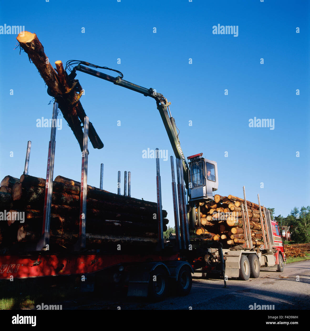 Man filling wooden logs in truck Stock Photo - Alamy