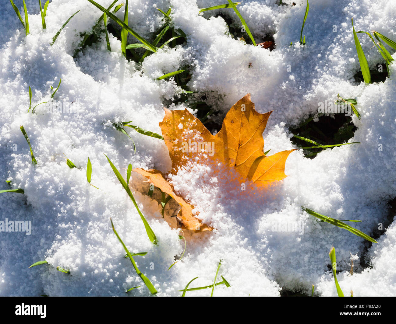 First snow fallen hi-res stock photography and images - Alamy