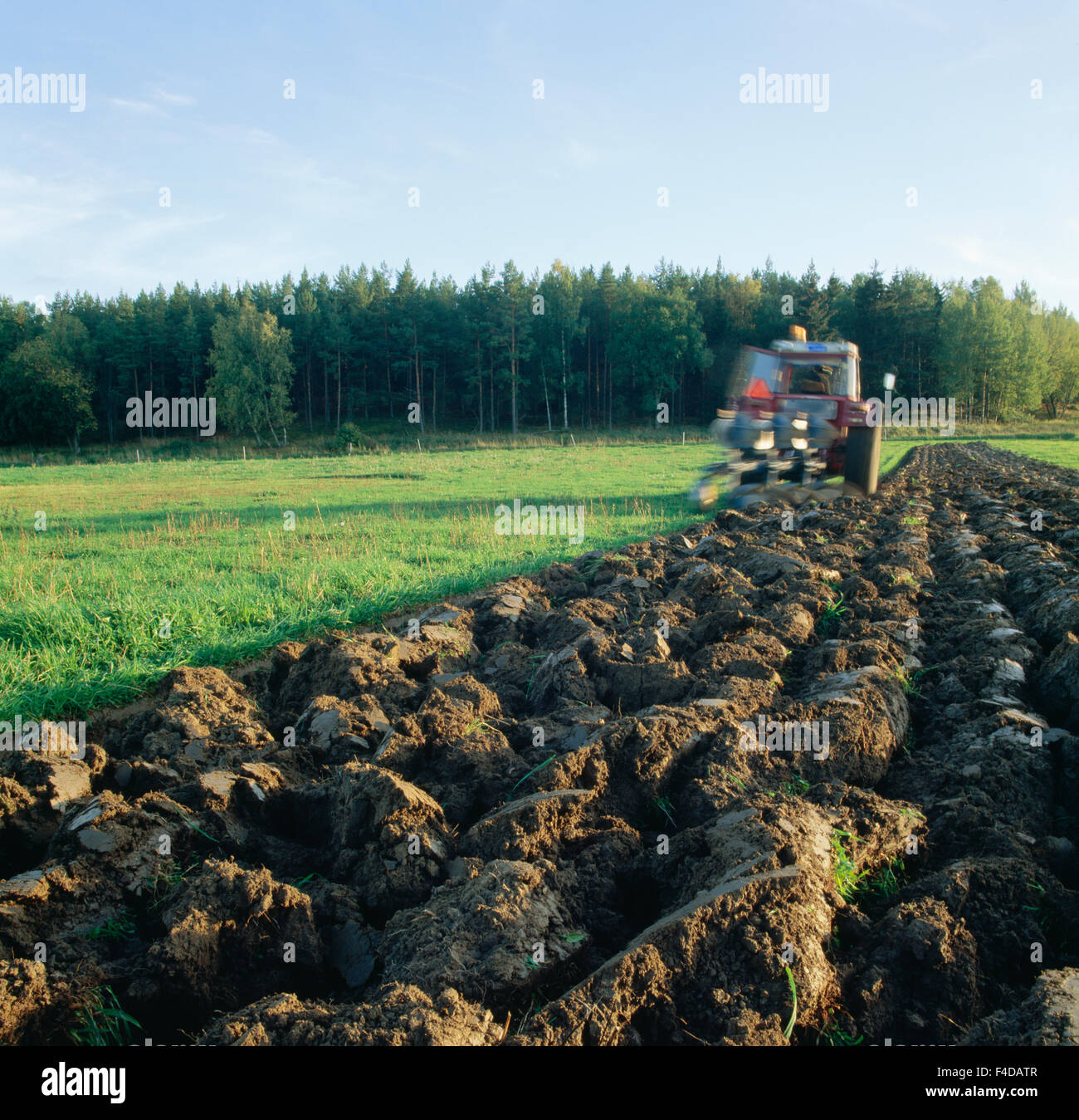 Tractor tilling field Stock Photo - Alamy