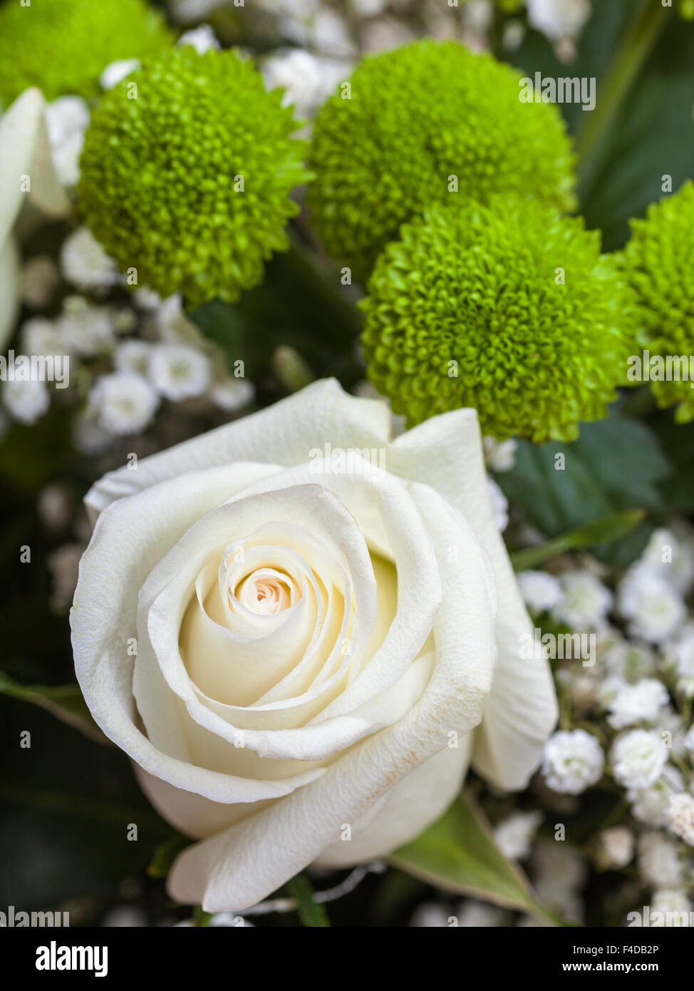 fresh white rose in bunch of flowers close up Stock Photo - Alamy