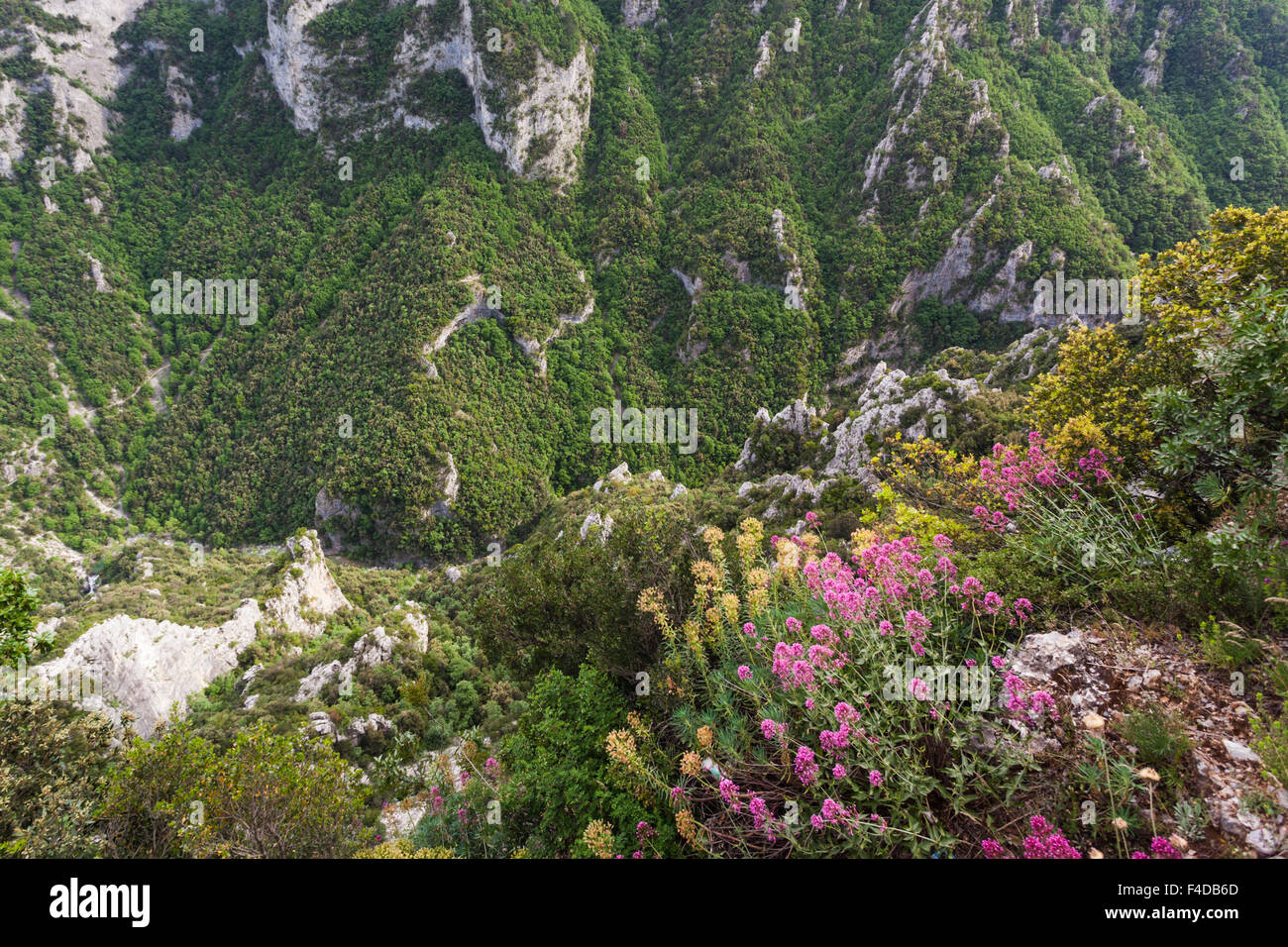 Oros Olympos Stock Photos & Oros Olympos Stock Images - Alamy