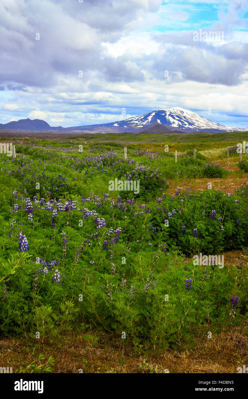 Mountain hekla hi-res stock photography and images - Alamy