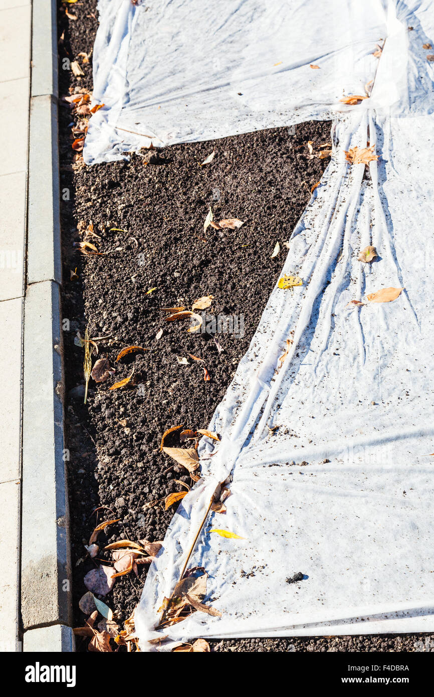 loosened lawn and covering nonwoven fabric for mulching in city Stock ...