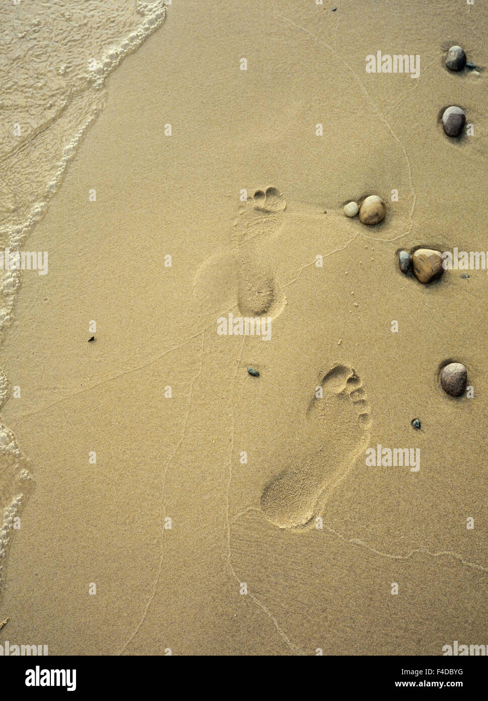 Footprints in sand Stock Photo - Alamy