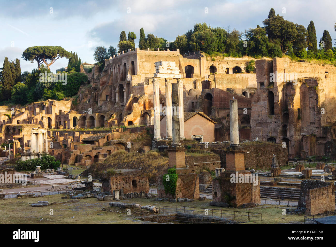 Roman Forum remains, Rome, Italy Stock Photo - Alamy