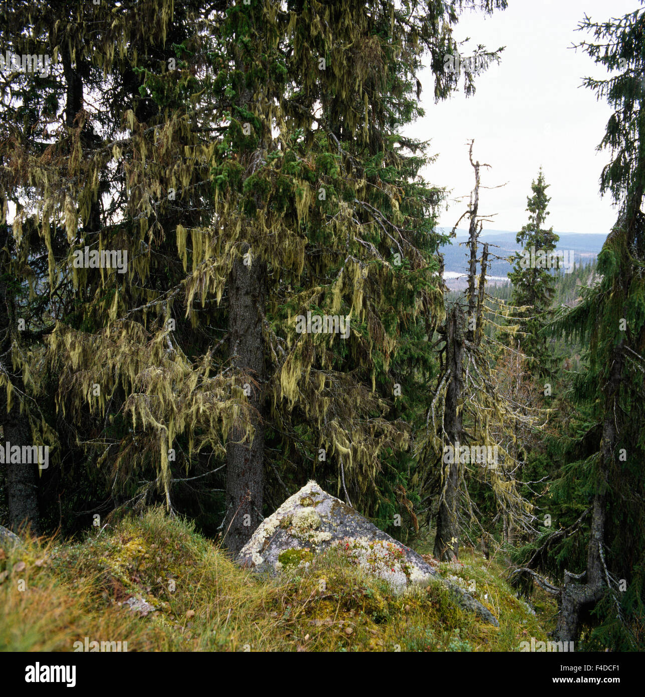 Virgin mountain hi-res stock photography and images - Alamy