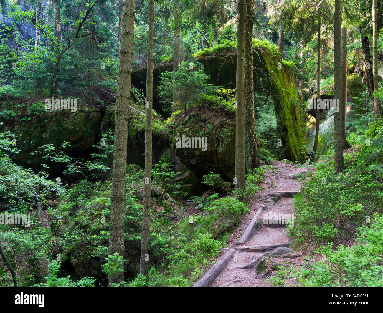 Elbe Sandstone Mountains (Elbsandsteingebirge) in the National Park ...