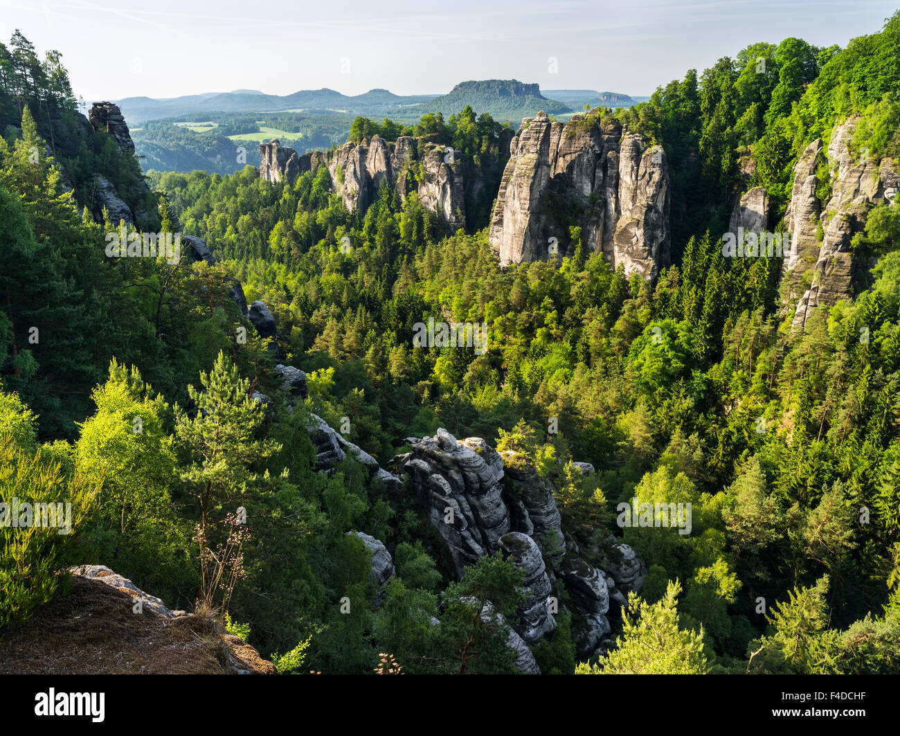 Elbe Sandstone Mountains (Elbsandsteingebirge) in the National Park ...