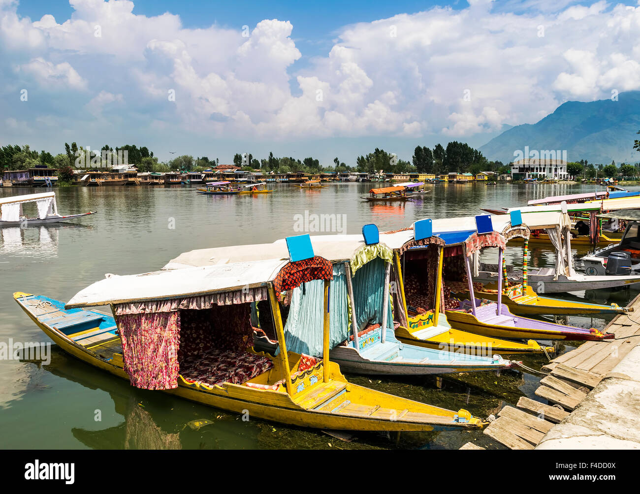 Shikara Boats on Dal Lake, Srinagar, Kashmir, India Stock Photo - Alamy