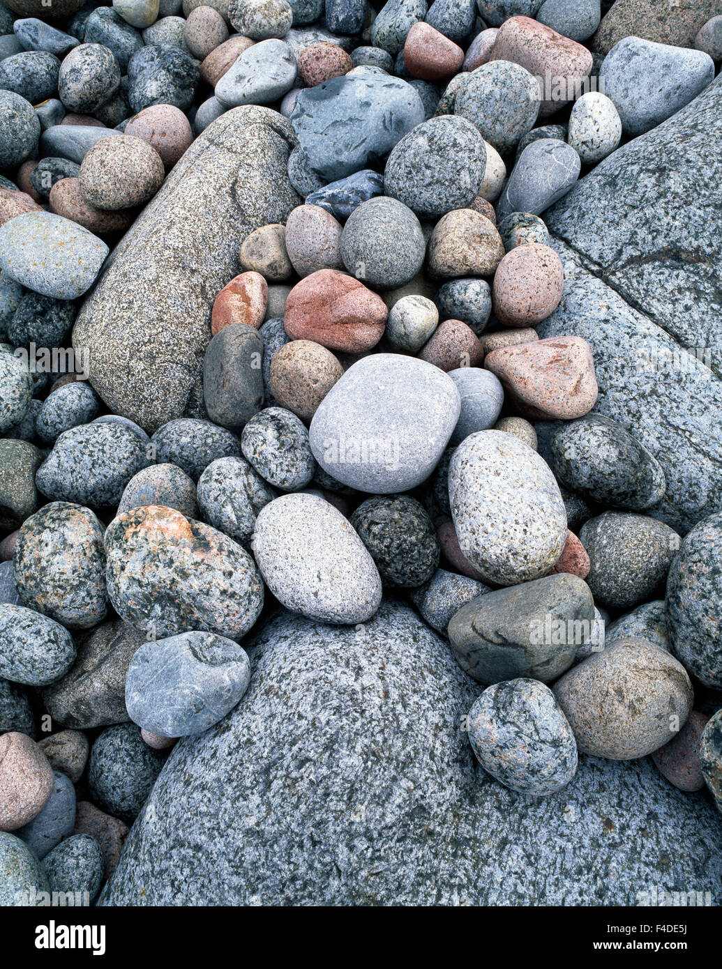 Round image hi-res stock photography and images - Alamy