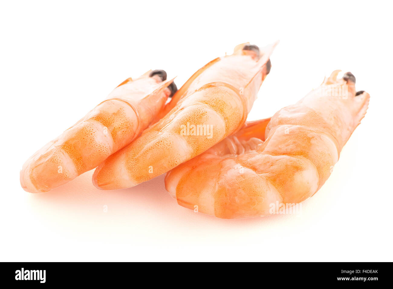 Three shrimps isolated on a white background Stock Photo - Alamy