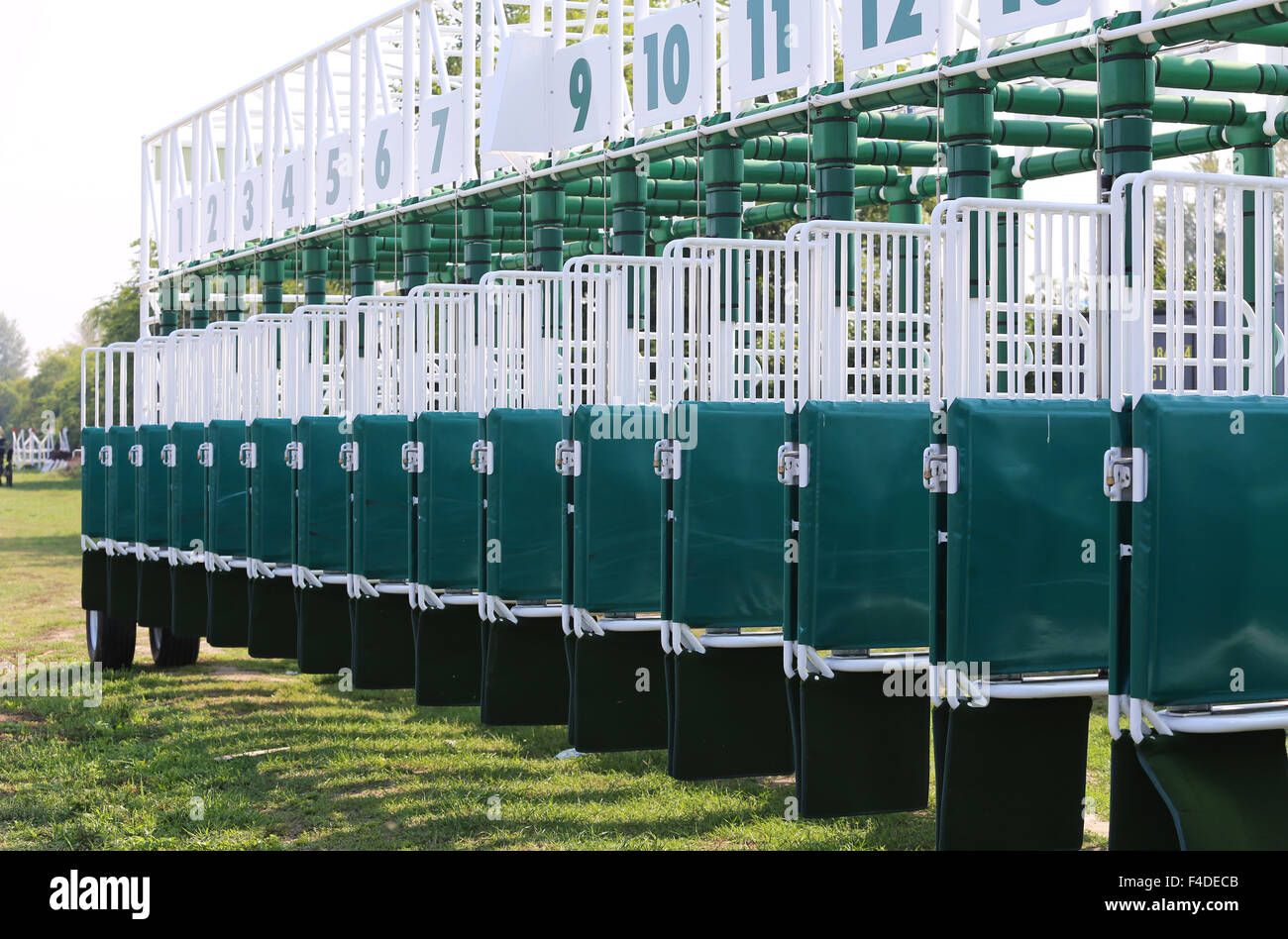 Green colored start gates for horse races on the racetrack Stock Photo ...