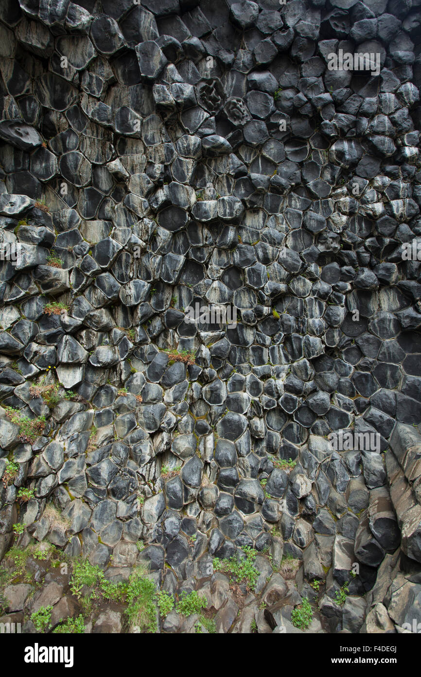Honeycomb pattern of basalt rock at Hljodaklettar, Jokulsargljufur ...