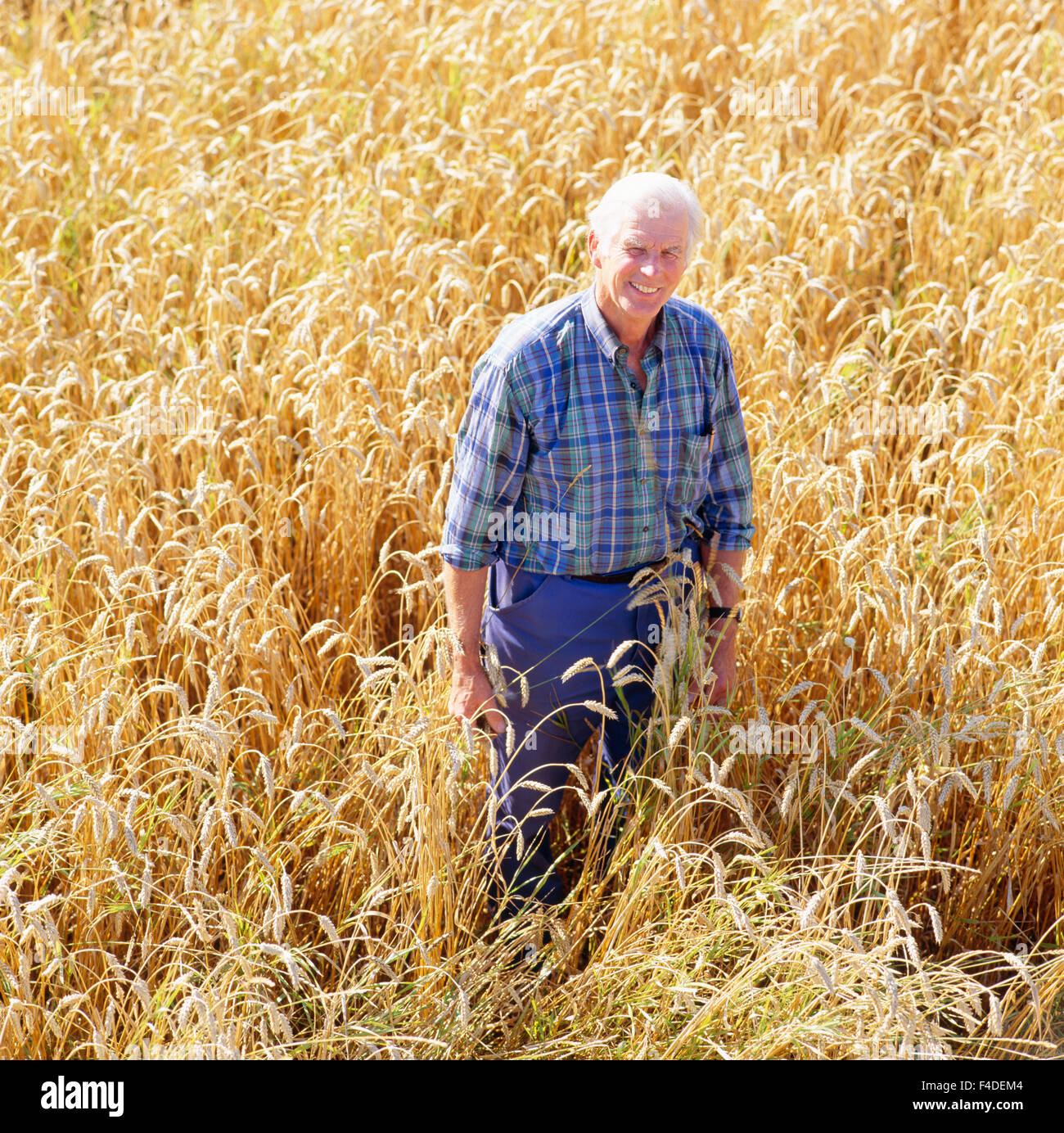 Senior man standing in field Stock Photo - Alamy