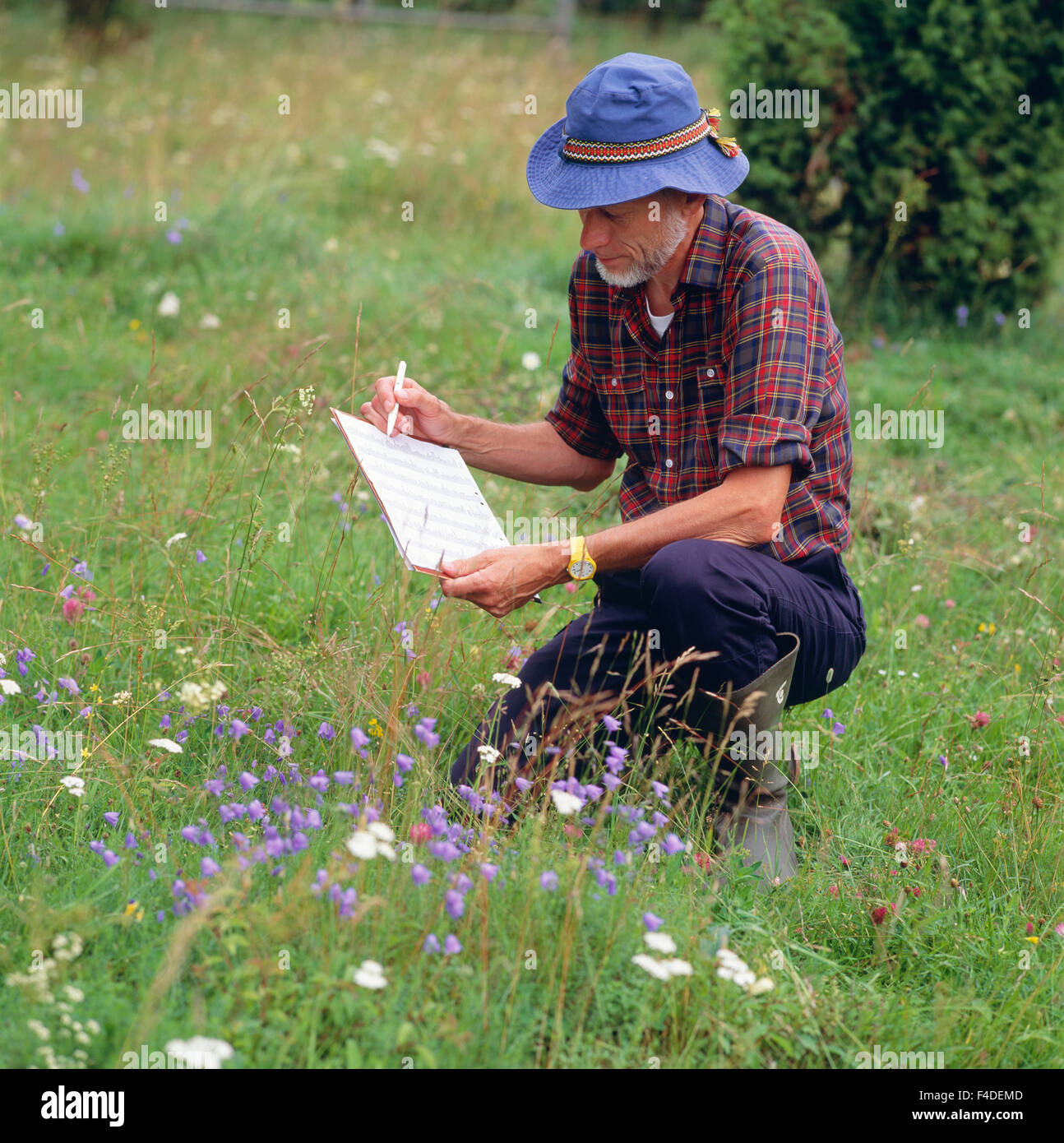 Man sitting in garden Stock Photo - Alamy