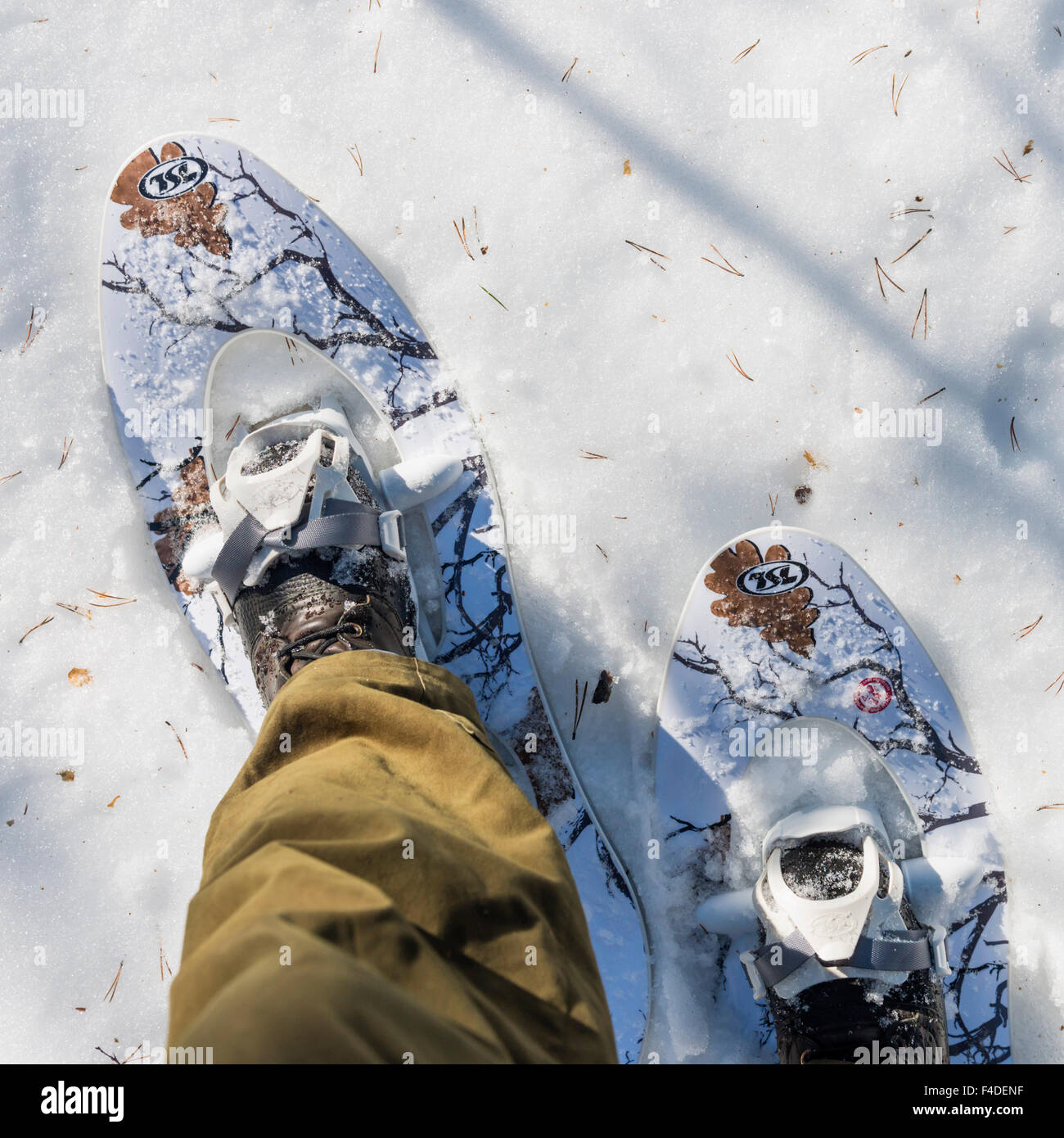 Snowshoe walk hi-res stock photography and images - Alamy