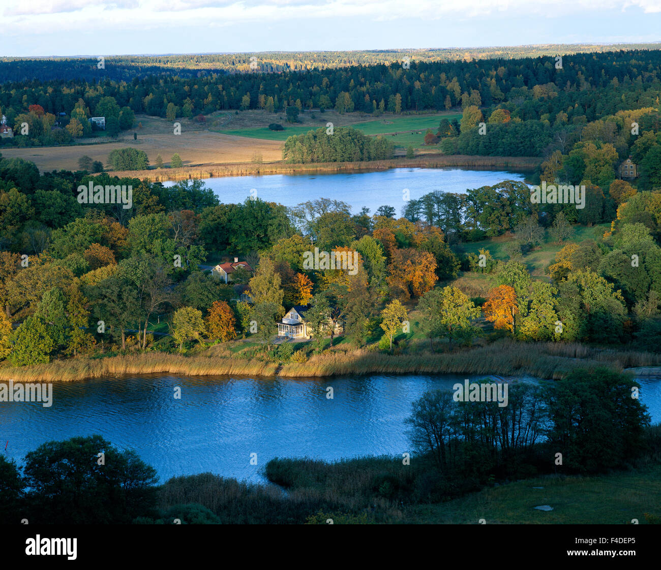 Lakes by the forest and fields Stock Photo - Alamy