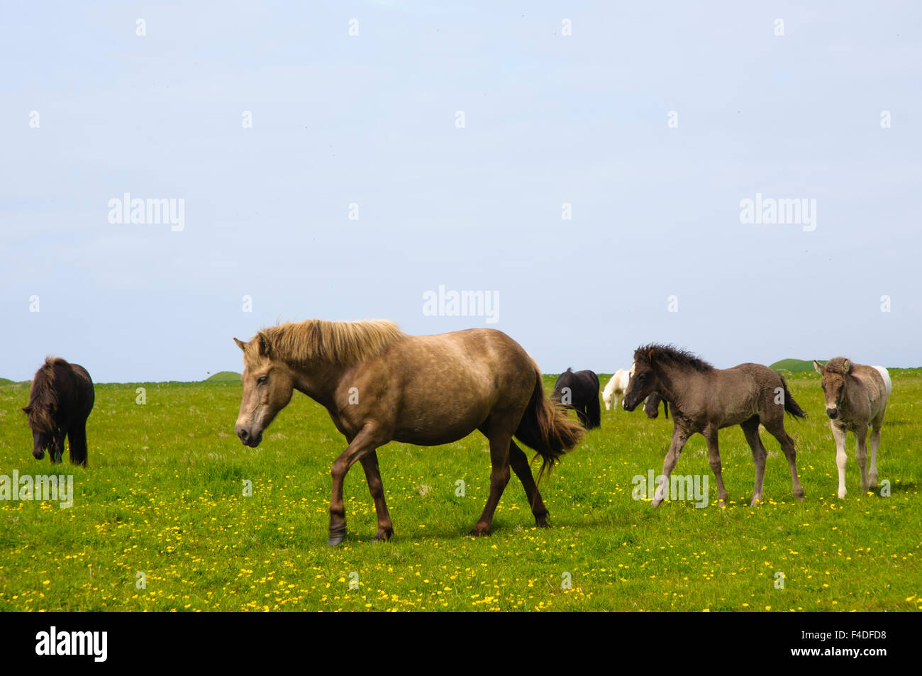 Viking wind farm hi-res stock photography and images - Alamy