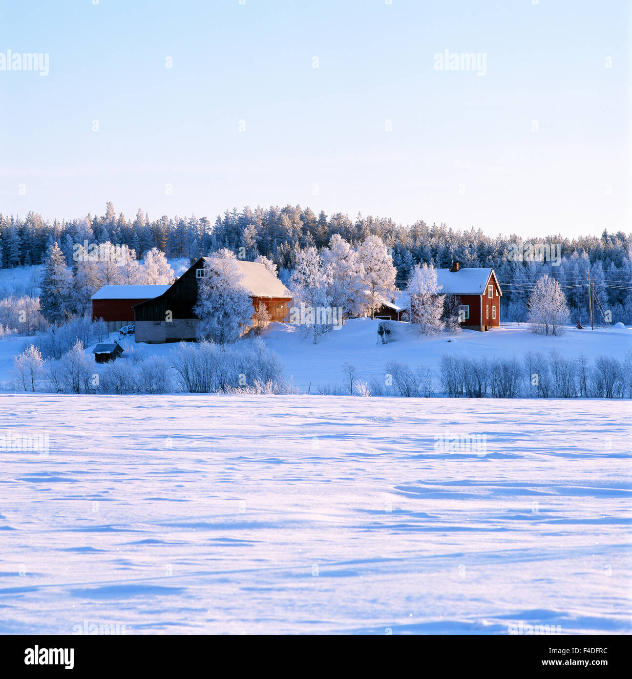 A farm in winter landscape Stock Photo - Alamy