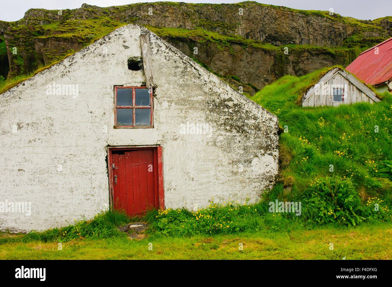 Iceland. Seljalandsfoss. Farm near the waterfall. Barn with a sod roof ...