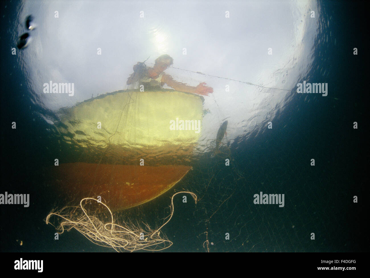 Underwater boat fish hi-res stock photography and images - Alamy