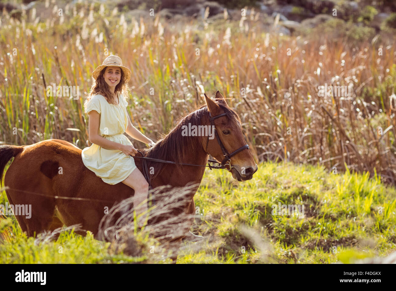 Young woman riding her horse Stock Photo - Alamy