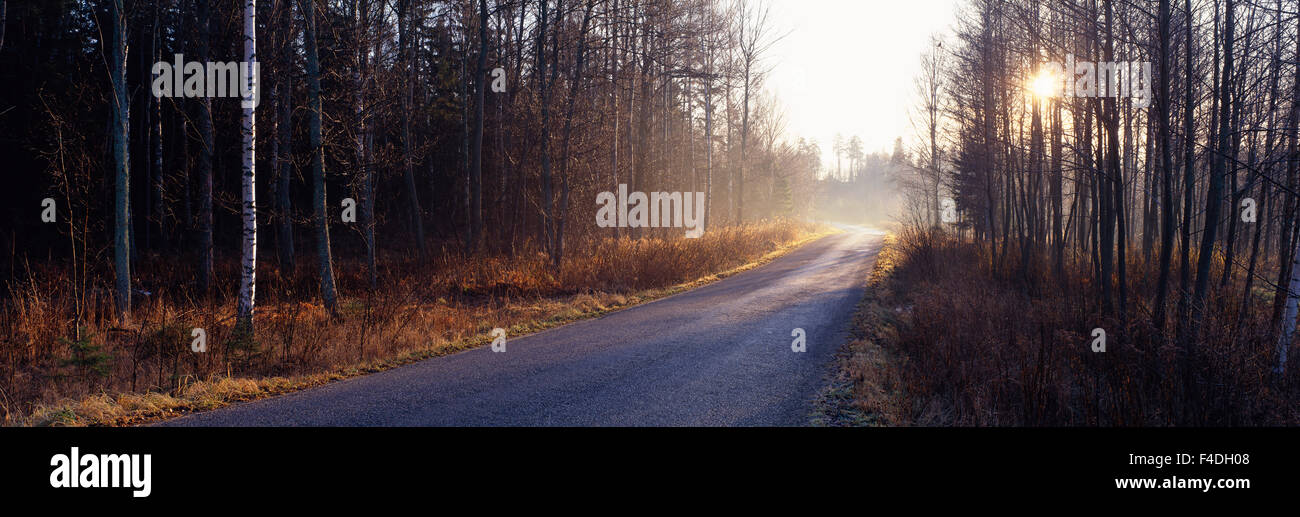 December road in Uppland, Sweden Stock Photo - Alamy