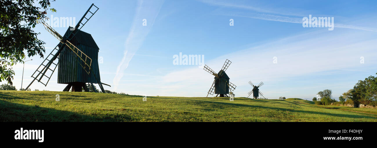Windmills on Oland Stock Photo - Alamy