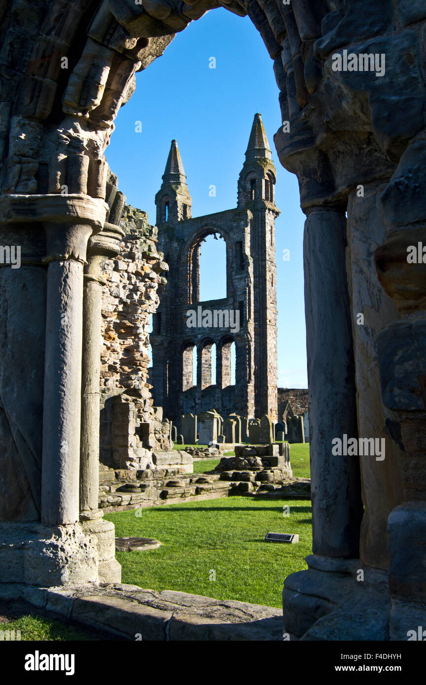 St Andrews Cathedral, Scotland Stock Photo - Alamy