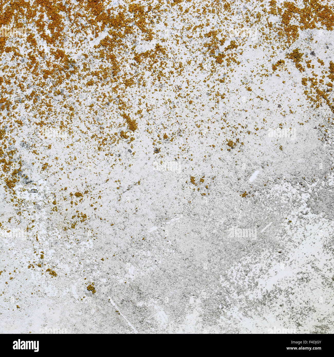 Old boat white hull background texture Stock Photo - Alamy