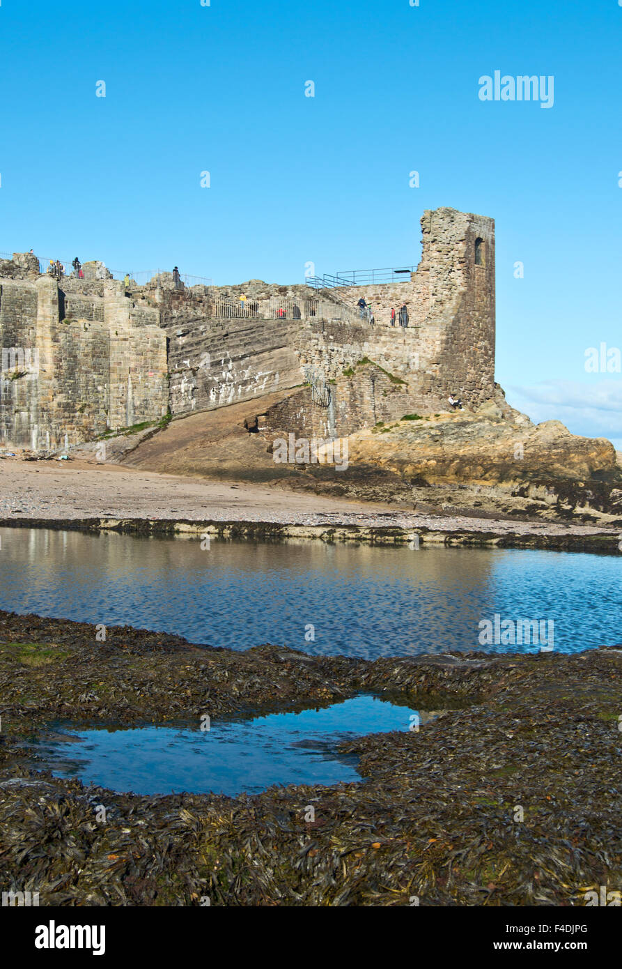 May dip scotland hi-res stock photography and images - Alamy