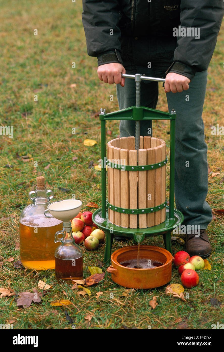Apples pressed for cider Stock Photo - Alamy