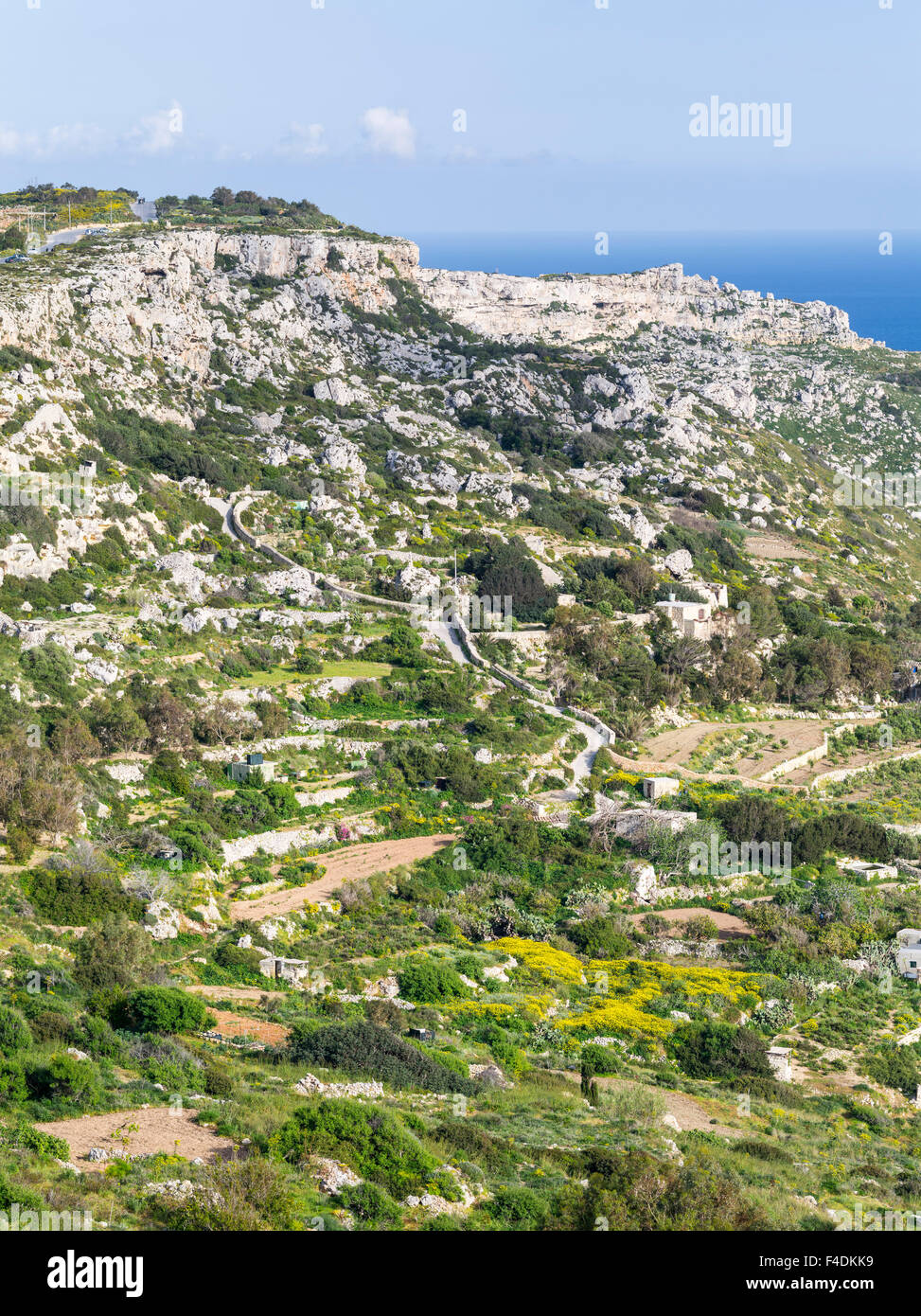 The Dingli Cliffs, Malta. Europe, Southern Europe, Malta. (Large format ...