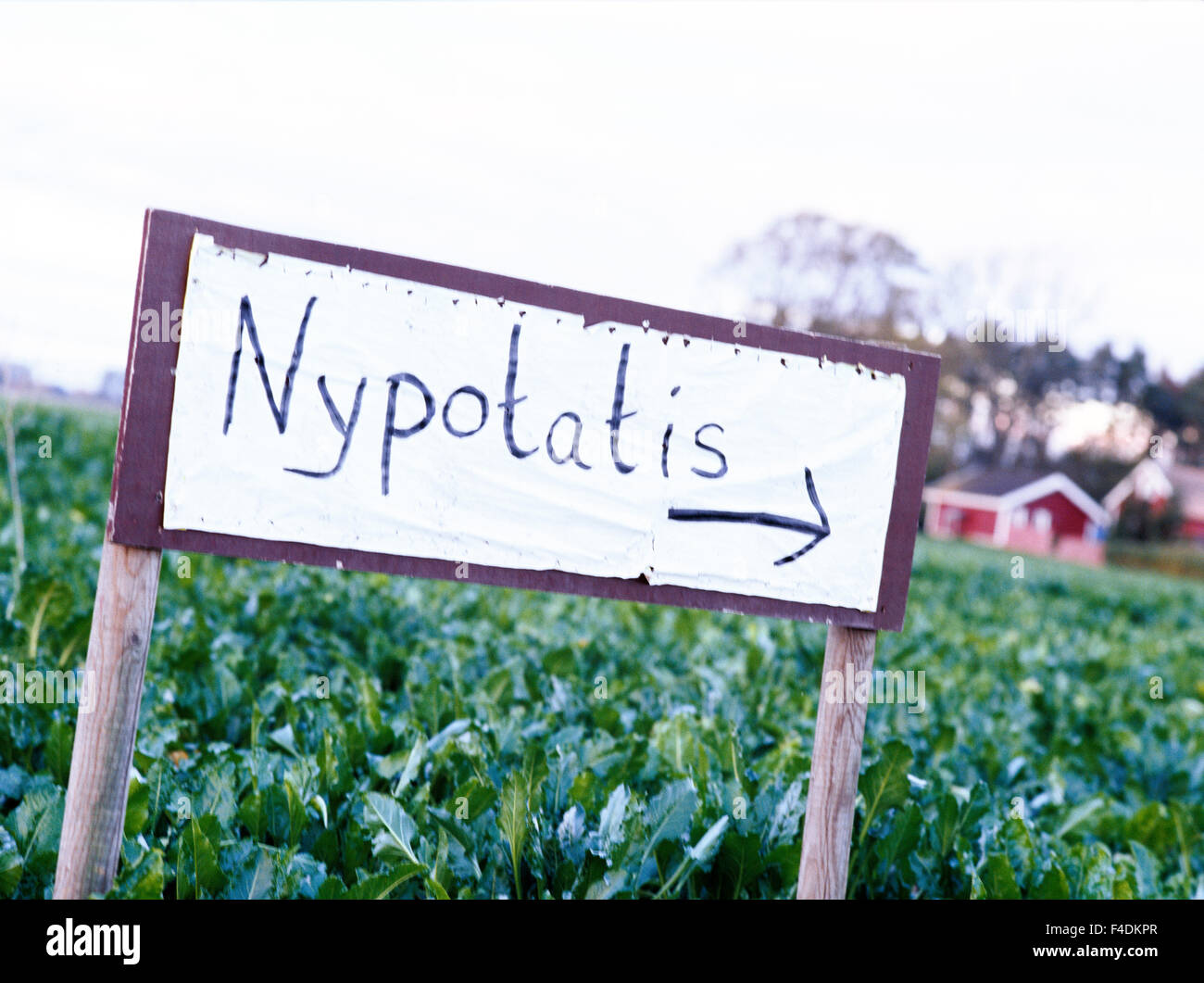 Placed sign hi-res stock photography and images - Alamy