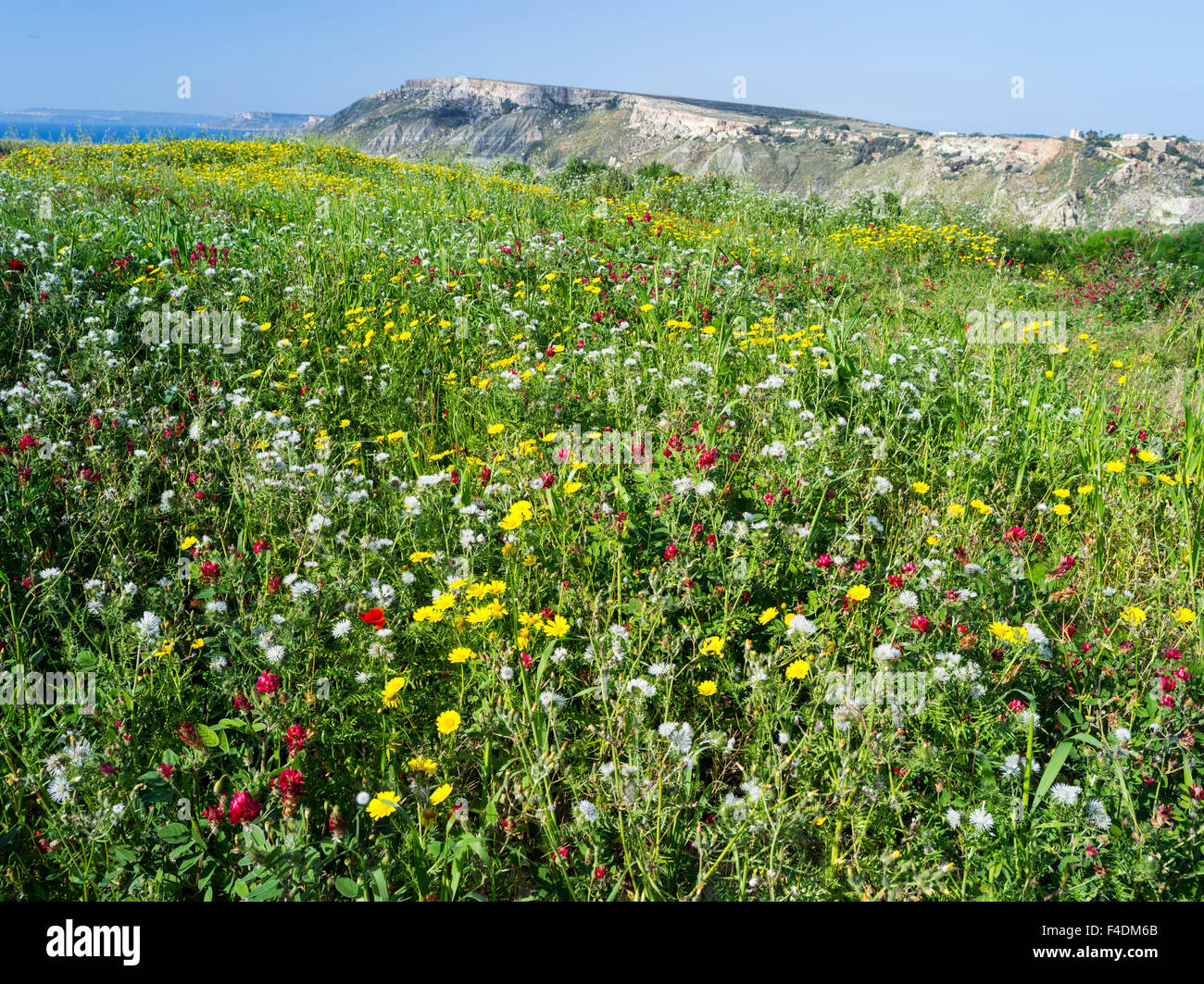 Ir Rih High Resolution Stock Photography and Images - Alamy