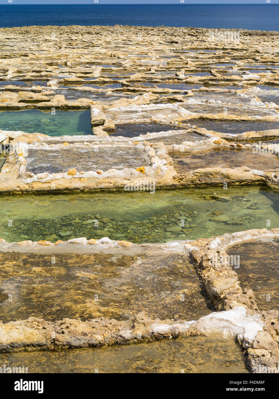 The island of Gozo in the Maltese archipelago. Traditional salt ...