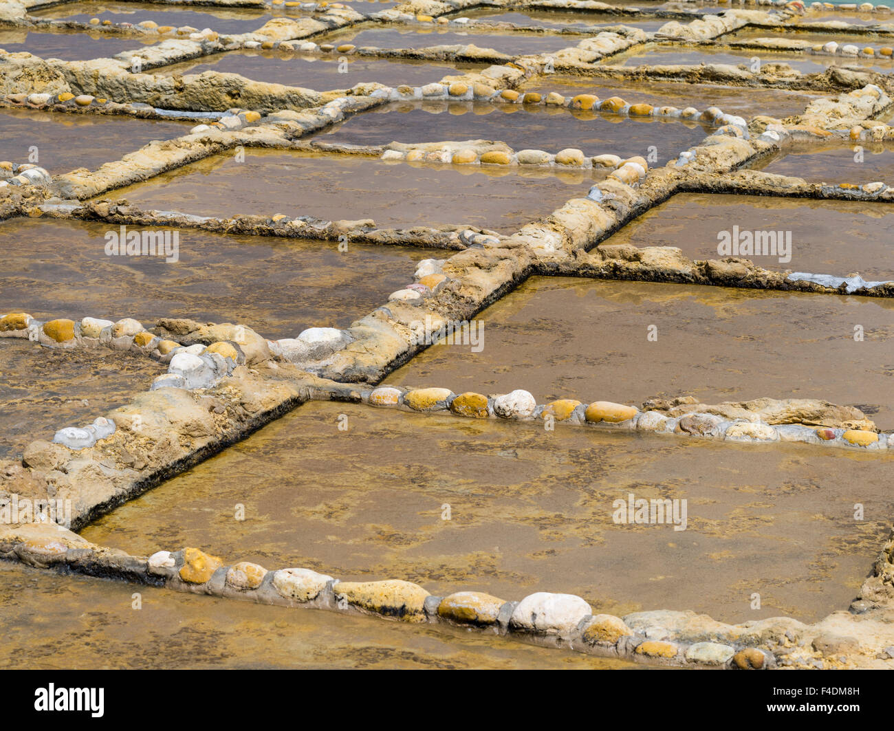 The island of Gozo in the Maltese archipelago. Traditional salt ...