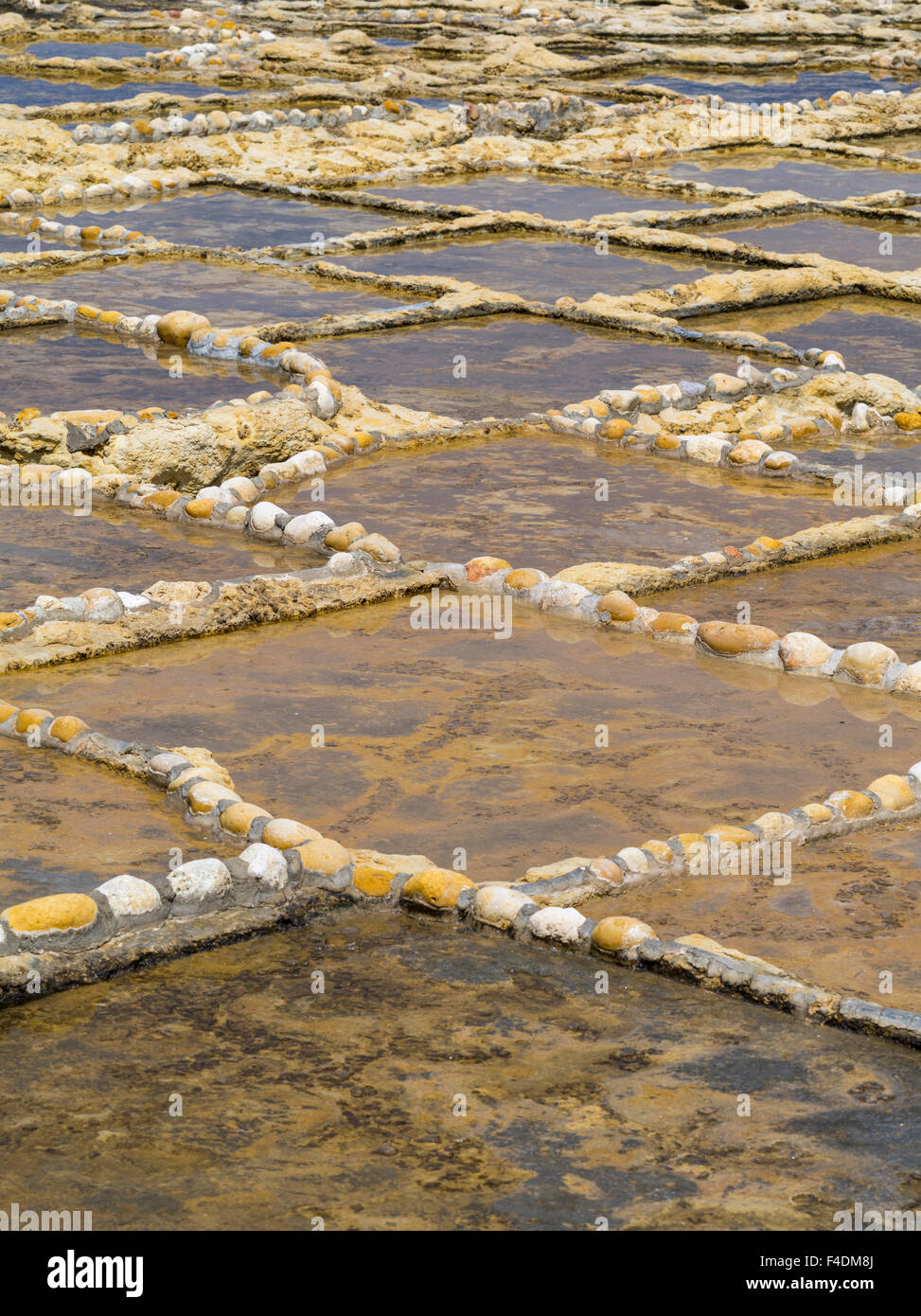 The island of Gozo in the Maltese archipelago. Traditional salt ...