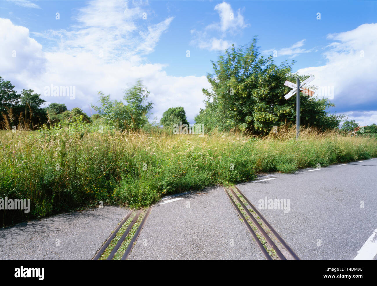 Rail tracks in grass Stock Photo - Alamy