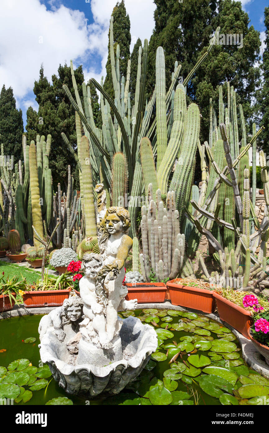 Park with cactus on Malta. Europe, Southern Europe, Malta Stock Photo ...