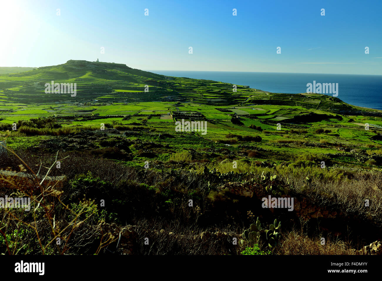 Ta gurdan lighthouse gozo malta hi-res stock photography and images - Alamy