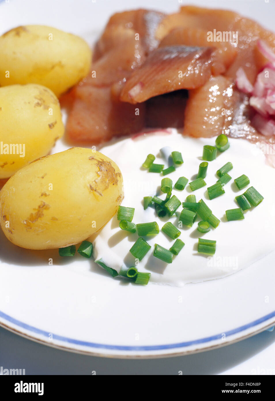 Herring potatoes traditional swedish midsummer hi-res stock photography ...