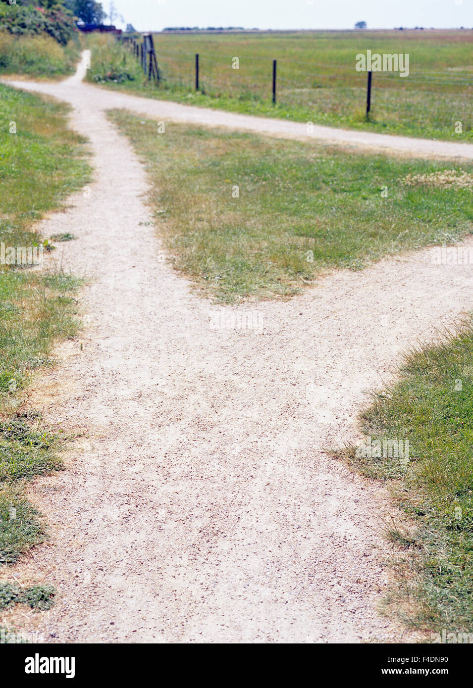A road fork Stock Photo - Alamy