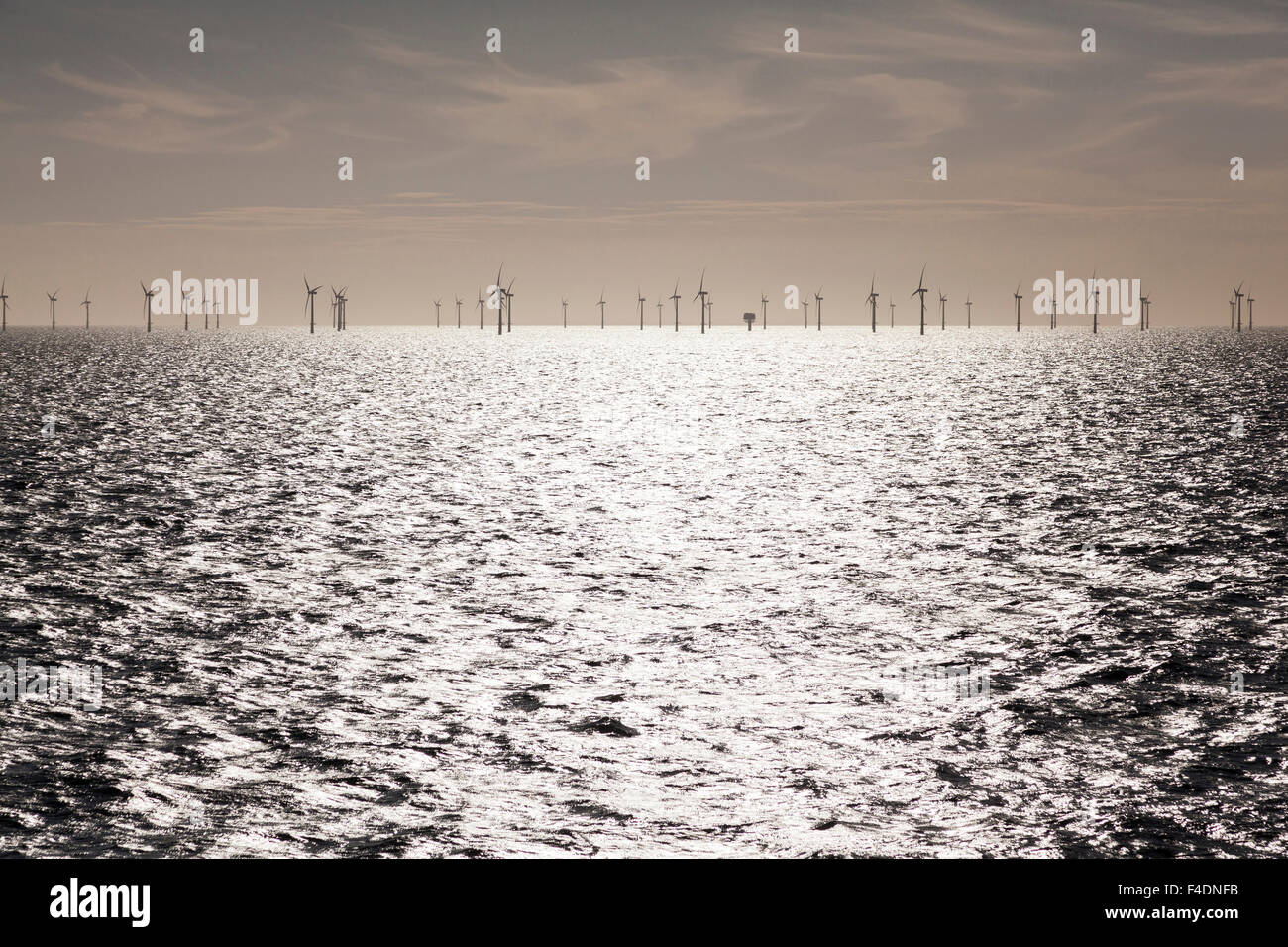 Dutch wind farm off the coast of the North Sea, Netherlands Stock Photo ...